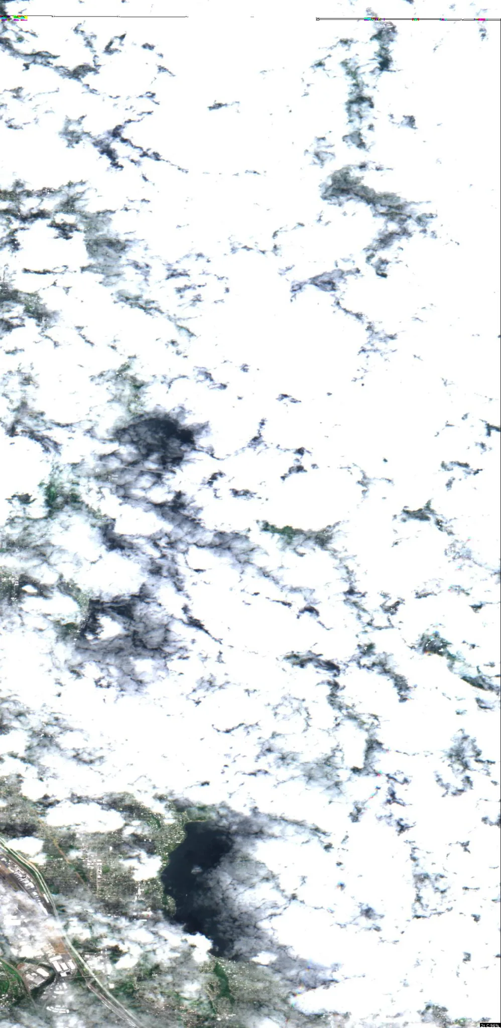 Lake Washington water temperature Water Temperature & Fishing Reports ...