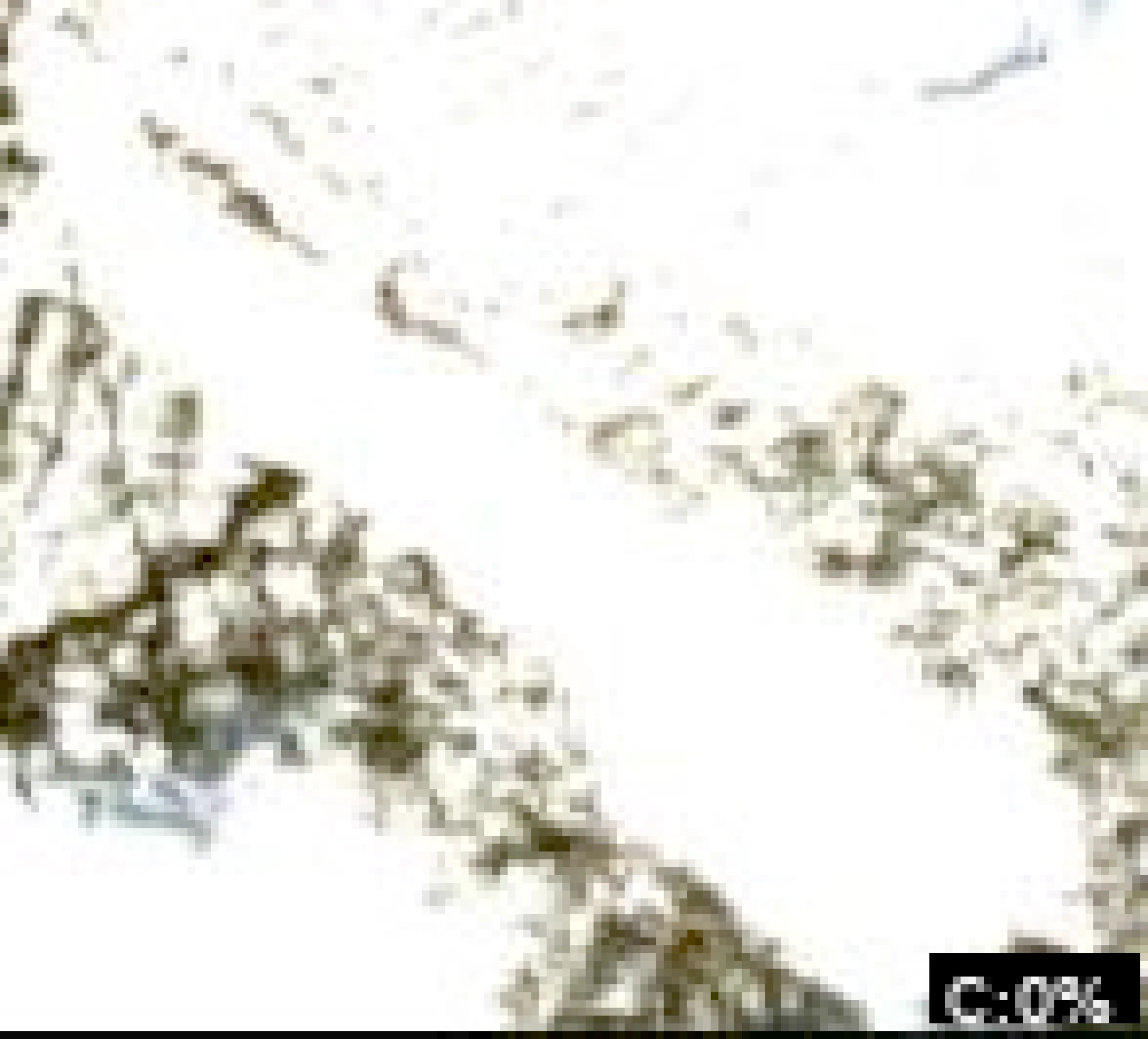 Ship Island Lake 4923 4923 4923 4923 4923 4923 4923 4923 4923 4923 4923 ...